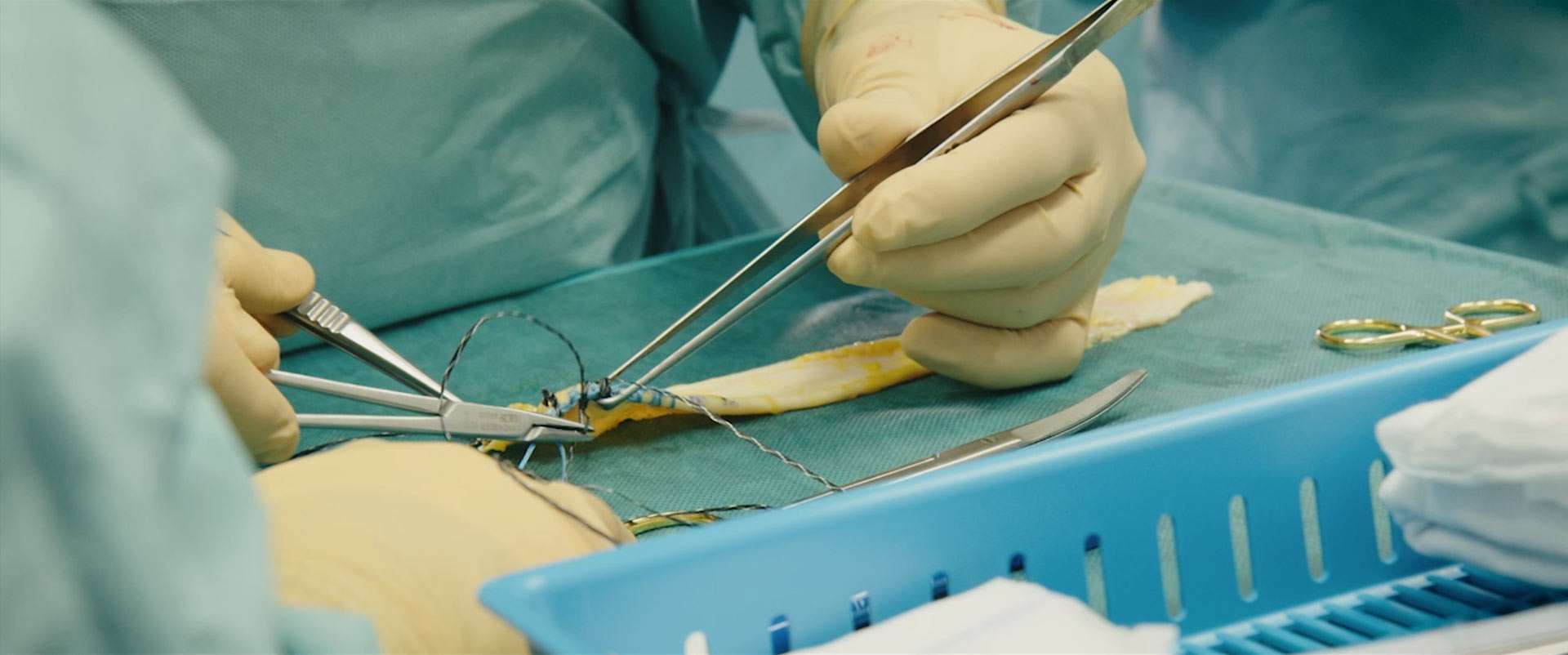 shoulder_tendon_transfer | 10th Annecy Live Surgery / June 5-6-7, 2025 ...